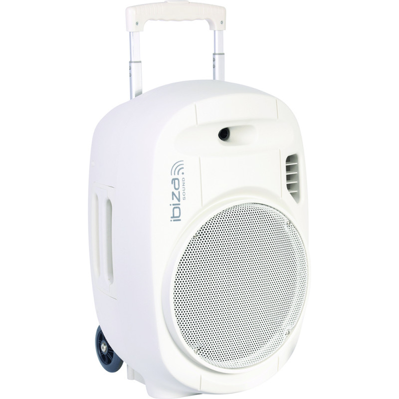 Stand-alone Portable Sound System 12"/30 cm with USB-MP3, REC, VOX ...